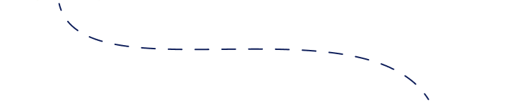 Professional In-depth Mastery